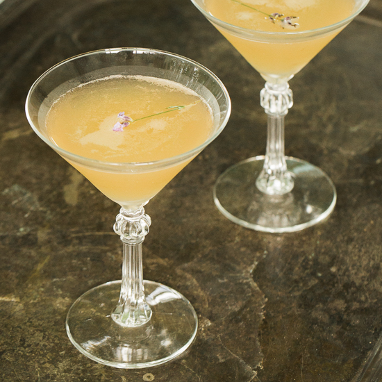 Lavender Bee's Knees | Tipsy Tuesday